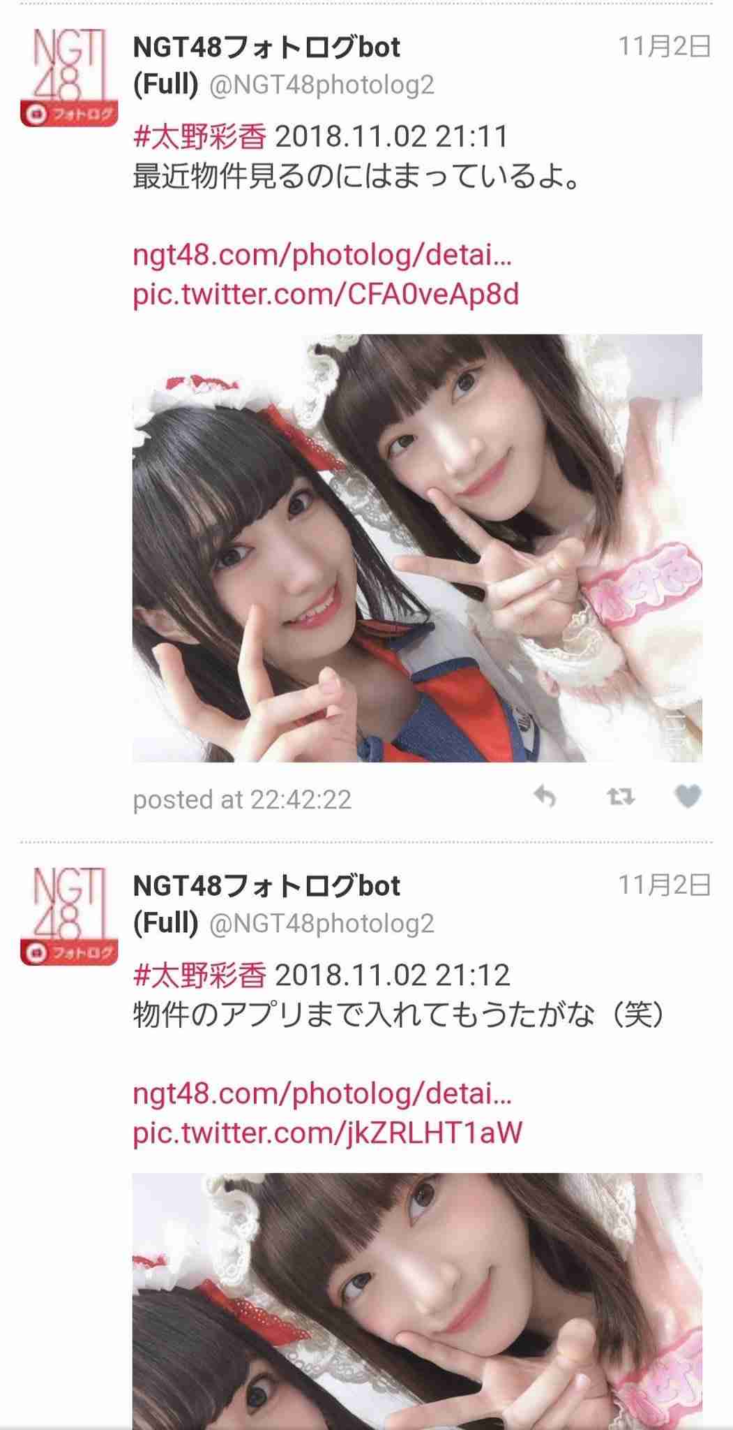 NGT48 メンバーSNSを8月1日から再開 DM送信、無断でのメンバーフォロー外しは禁止 | ガールズちゃんねる - Girls Channel