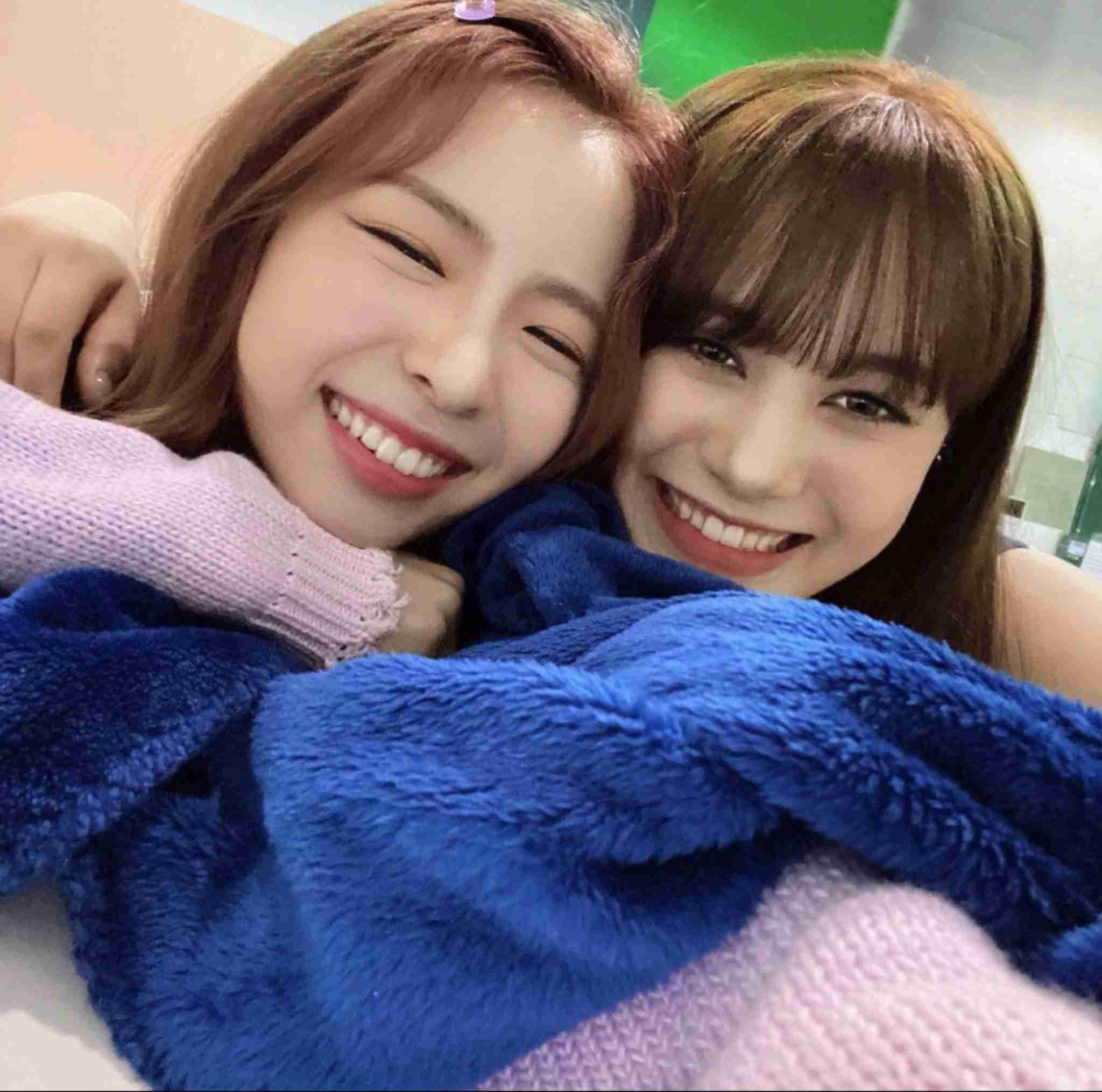 NiziU、動物キャラクター“NIZOO”仮装生配信で大盛り上がり アルバム最新情報も公開 | ガールズちゃんねる - Girls Channel