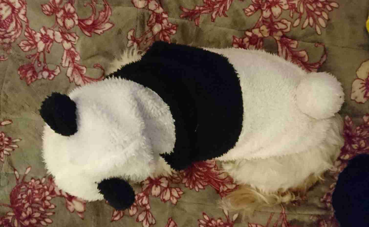 スリーコインズが好きな人！（3COINS） | ガールズちゃんねる - Girls Channel