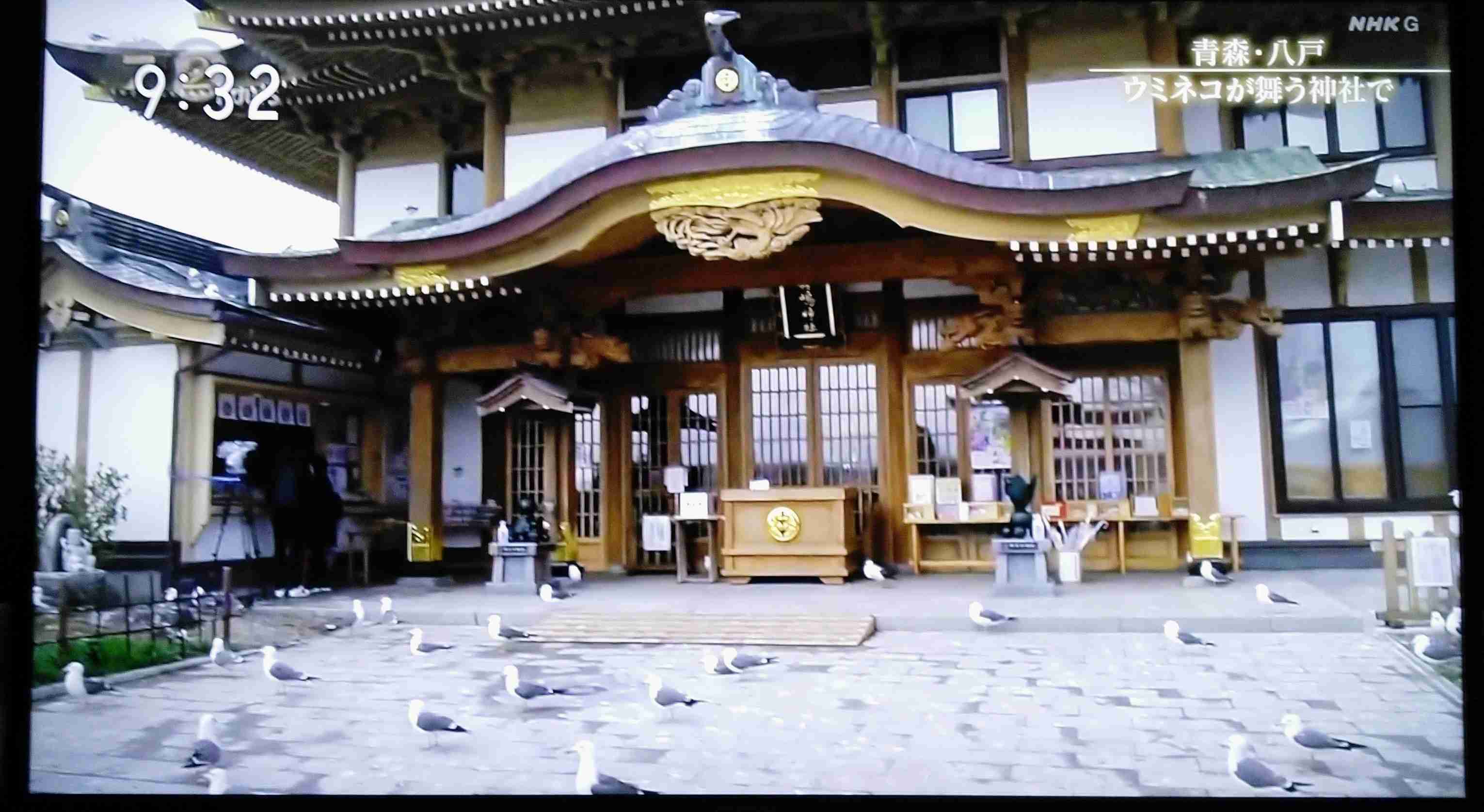 NHK「ドキュメント72時間」好きな人！ | ガールズちゃんねる - Girls Channel