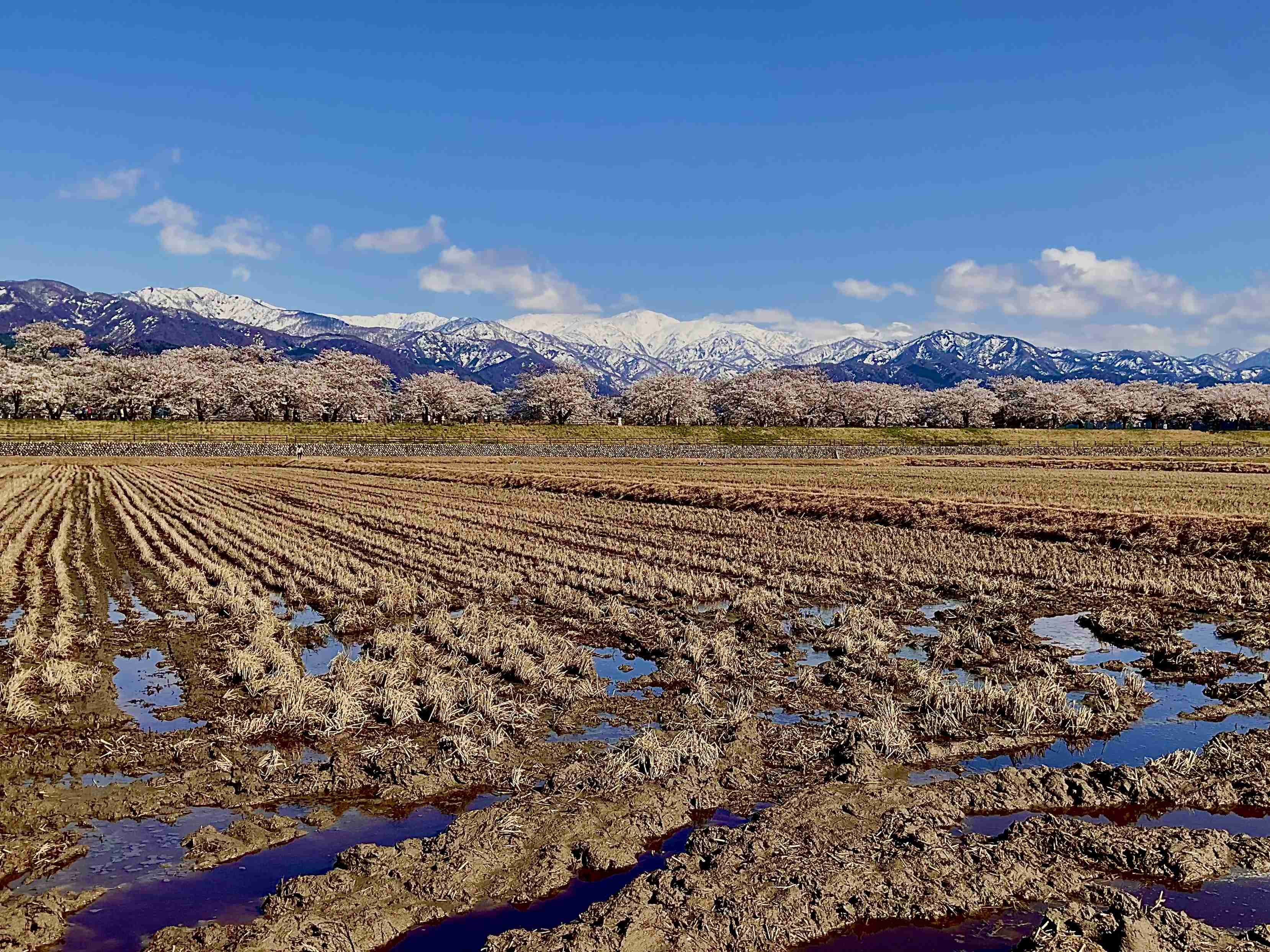 最近心から感動し興奮したこと | ガールズちゃんねる - Girls Channel