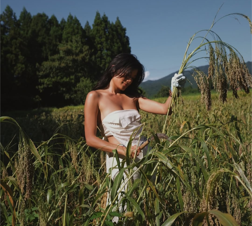 致死率27％、マダニから感染「SFTS」 東日本でも拡大の兆し | ガールズちゃんねる - Girls Channel