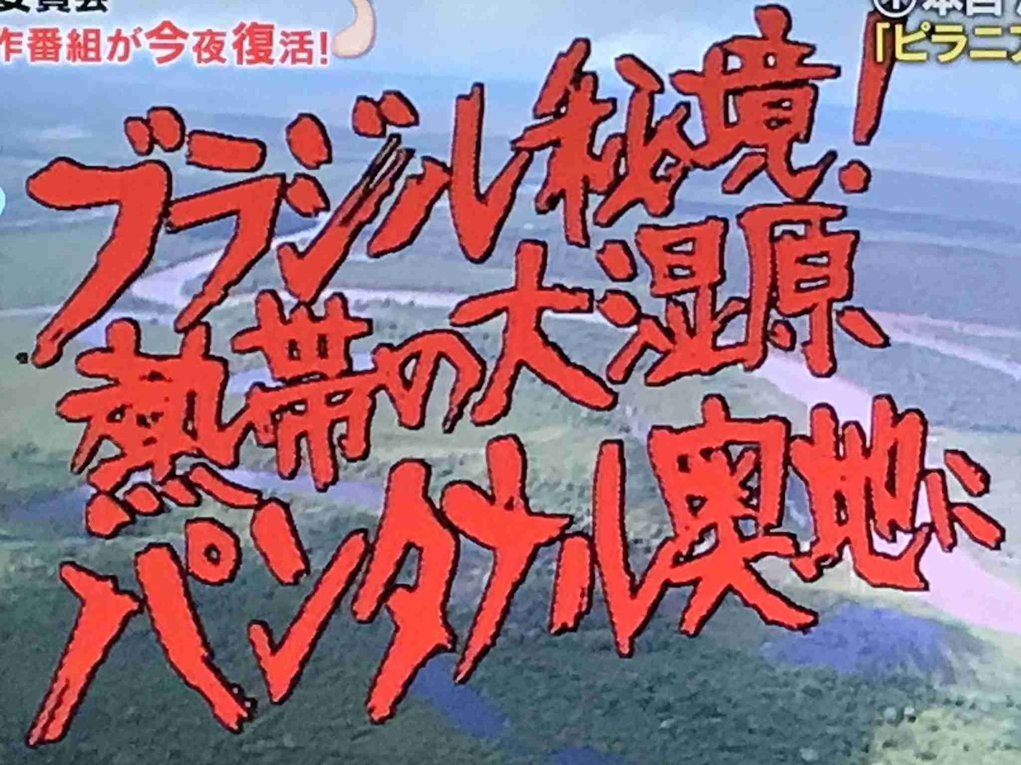 「芸能界は限界でした…」 僧侶へ転身した香田晋が明かす、引退理由と現在の生活 ムキムキボディに「肉体改造」した理由とは | ガールズちゃんねる ...