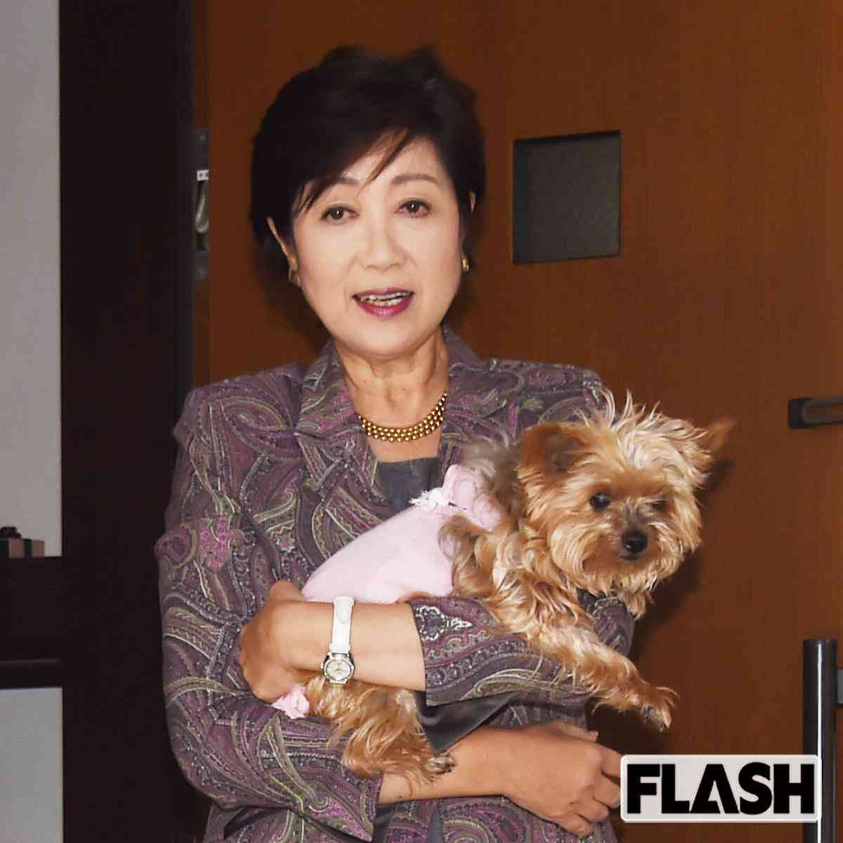 三浦瑠麗氏、夫の10億円投資トラブルでテレビ追放の危機…成長戦略会議では「太陽光発電」押しまくり発言 | ガールズちゃんねる - Girls Channel