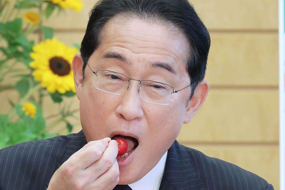 岸田首相「しっかり議論して時給1000円に！」…SNSにあふれる嘆き「国会議員も時給1000円で働けよ」 | ガールズちゃんねる - Girls Channel