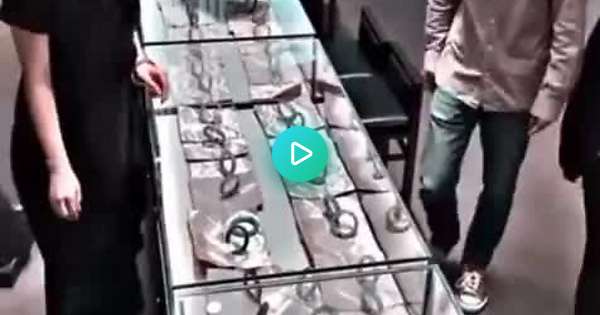 時計店に2人組強盗 1人逮捕 もう1人の男 現在逃走中 | ガールズちゃんねる - Girls Channel