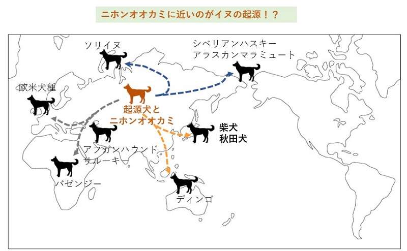 日本犬の画像が集まるトピ | ガールズちゃんねる - Girls Channel