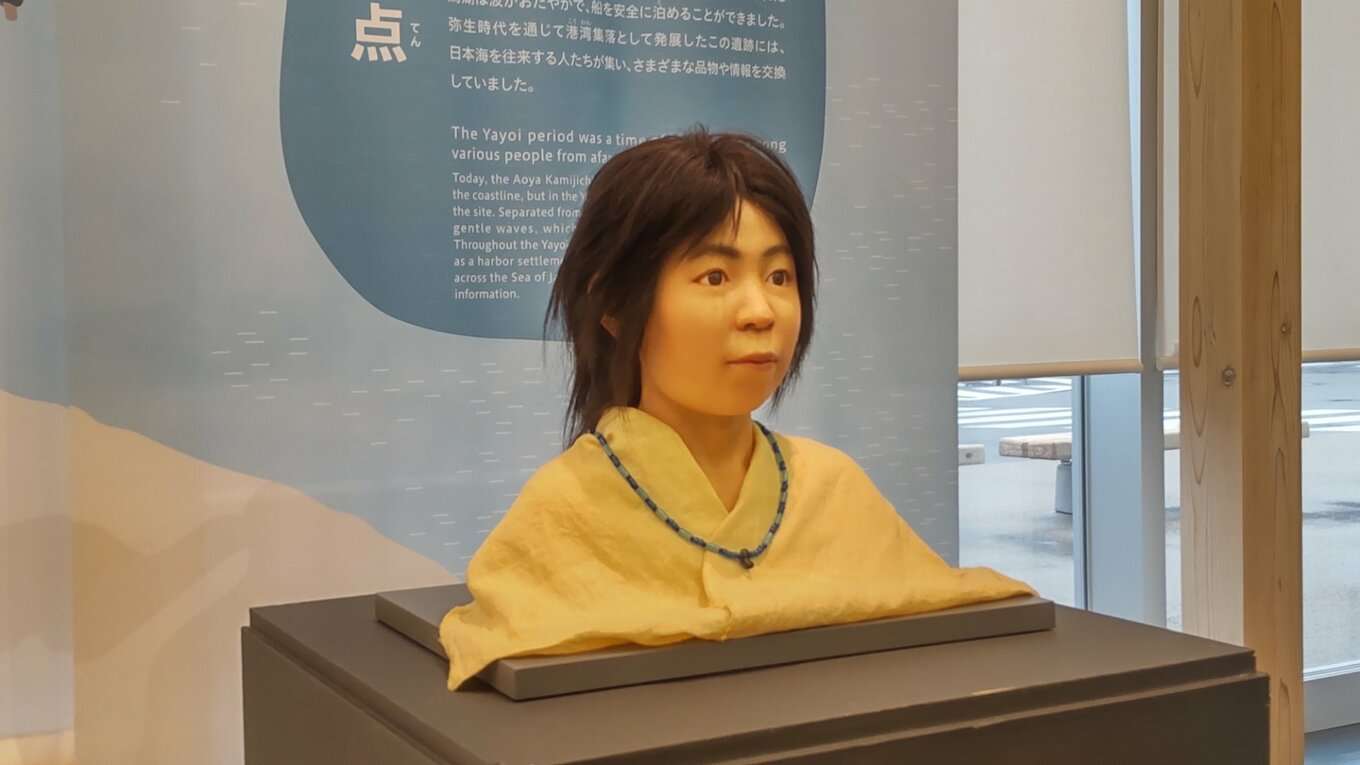 弥生時代の若者はこんな顔…出土した頭蓋骨から復元 女性と思っていたら…10代前半とみられる男性だった DNA分析で判明 | ガールズちゃんねる ...
